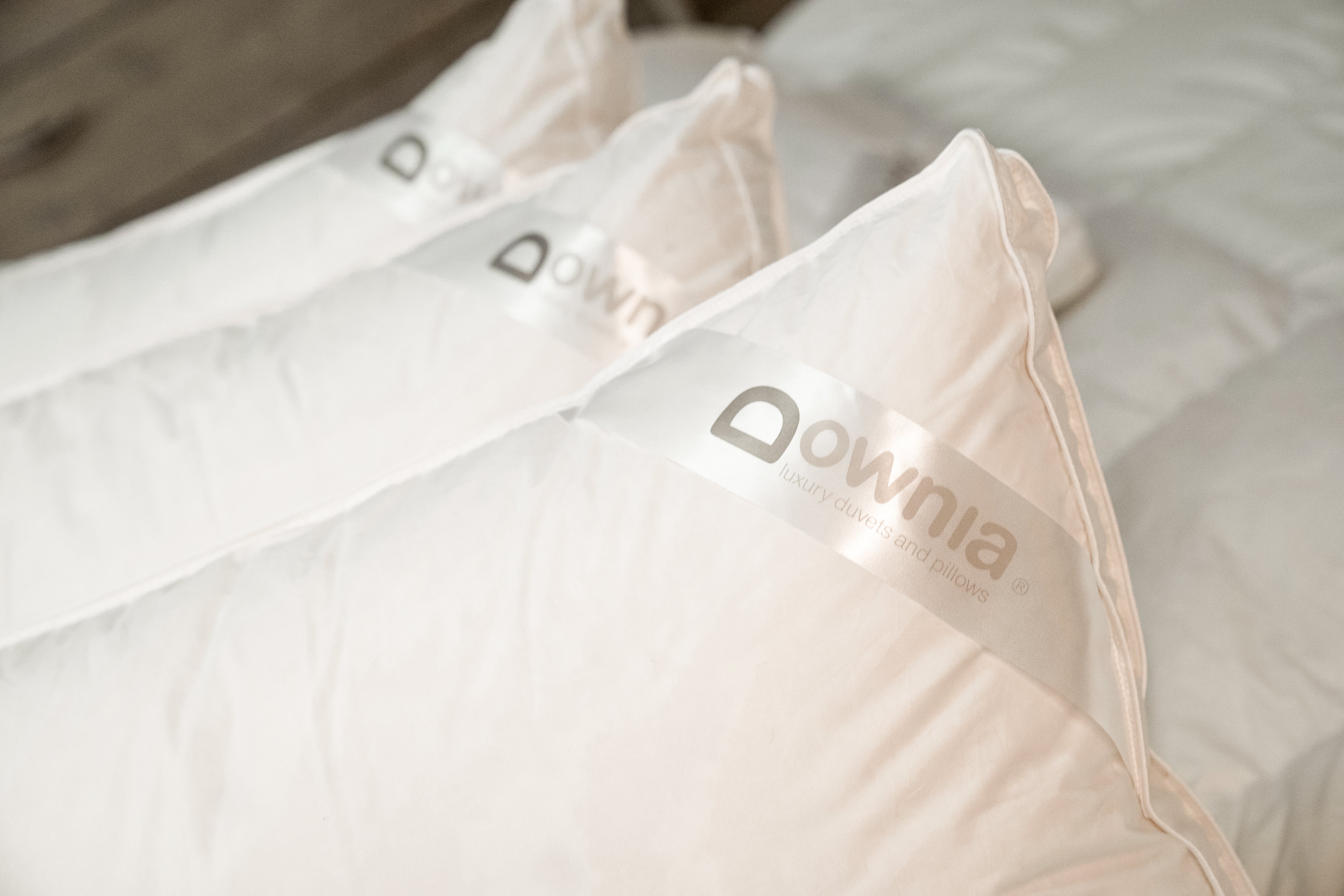 Pillows – Downia