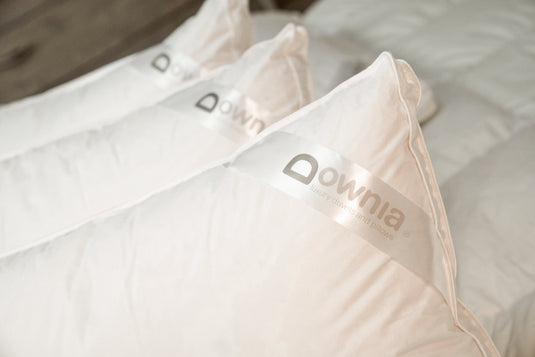 Downia